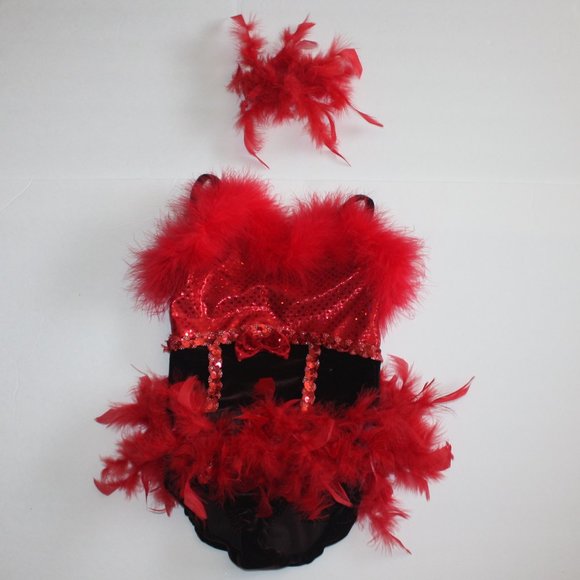 Costumes | Girls Red Robin Dance Custom Costume Ballet Jazz Tap Musical ...